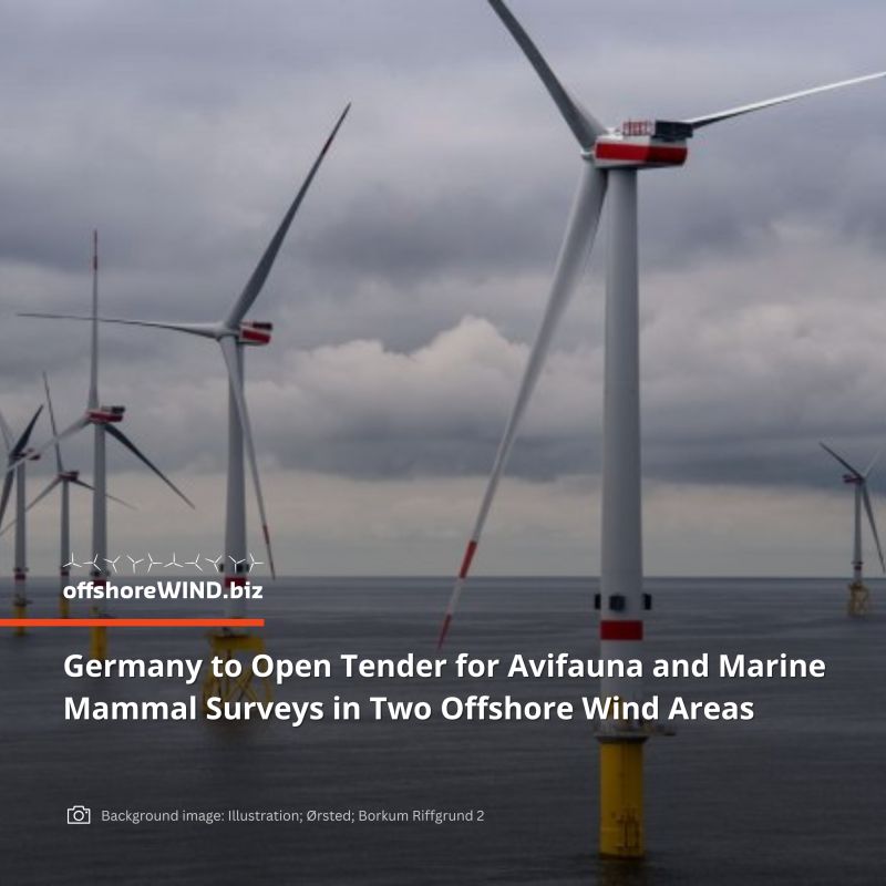 offshoreWIND.biz on LinkedIn: #offshorewind offshoreWIND.biz on LinkedIn: #offshorewind