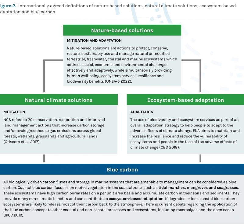 Omar AL-Ajaji 🇵🇸 on LinkedIn: #ecosystem #sustainability #environment # ... Omar AL-Ajaji 🇵🇸 on LinkedIn: #ecosystem #sustainability #environment # ...