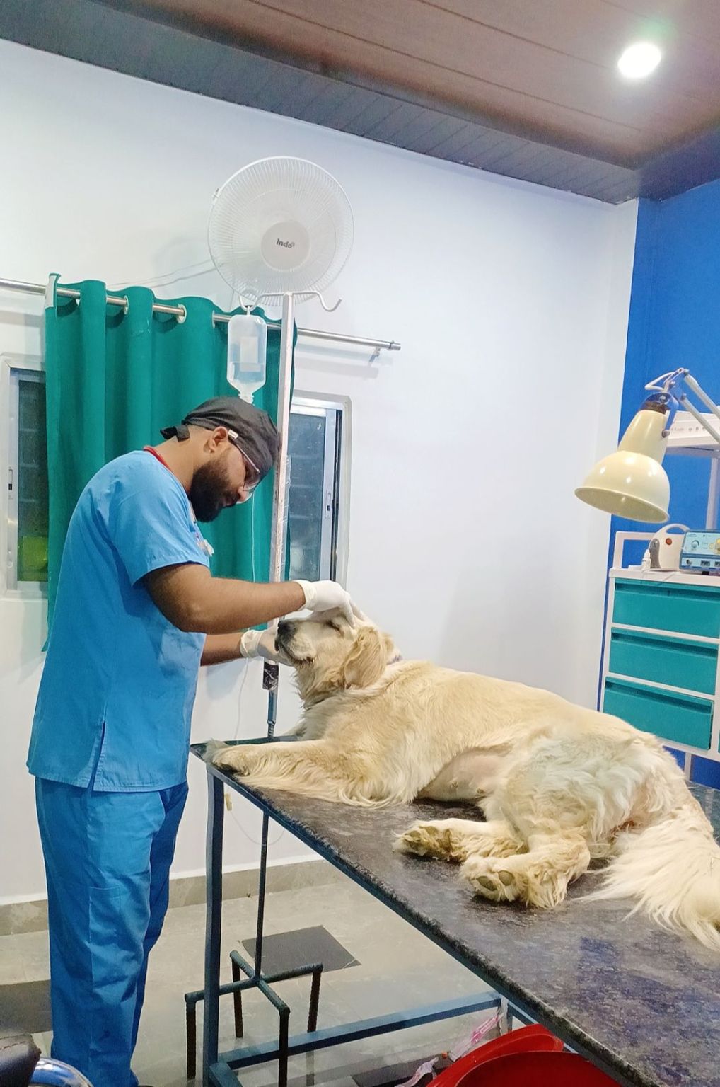 Dr Ankit Meshram on LinkedIn: Pets Clinic @ Veterinary surgeon Dr Ankit Meshram on LinkedIn: Pets Clinic @ Veterinary surgeon