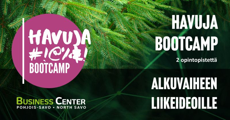 Business Center Pohjois-Savo on LinkedIn: #havujabootcamp Business Center Pohjois-Savo on LinkedIn: #havujabootcamp