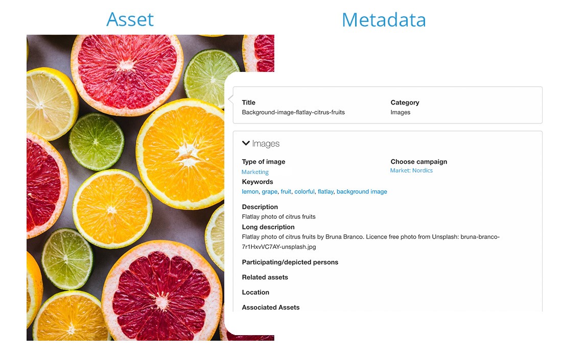 QBank DAM on LinkedIn: Part 1. Metadata Structure QBank DAM on LinkedIn: Part 1. Metadata Structure