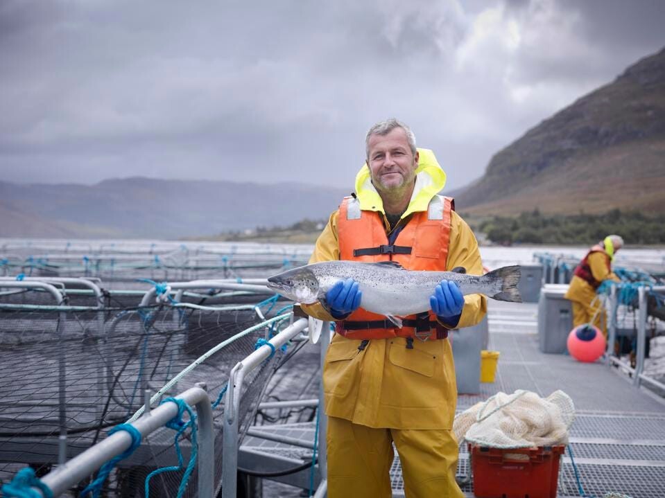 Mike Flieher on LinkedIn: SAP BrandVoice: Sustainable Salmon Farming ... Mike Flieher on LinkedIn: SAP BrandVoice: Sustainable Salmon Farming ...