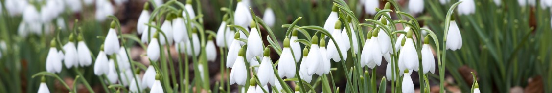Royal Horticultural Society: Jobs | LinkedIn Royal Horticultural Society: Jobs | LinkedIn