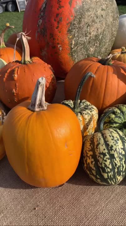Philippa Turrell on LinkedIn: KBB folk: Are you in the Halloween spirit ... Philippa Turrell on LinkedIn: KBB folk: Are you in the Halloween spirit ...