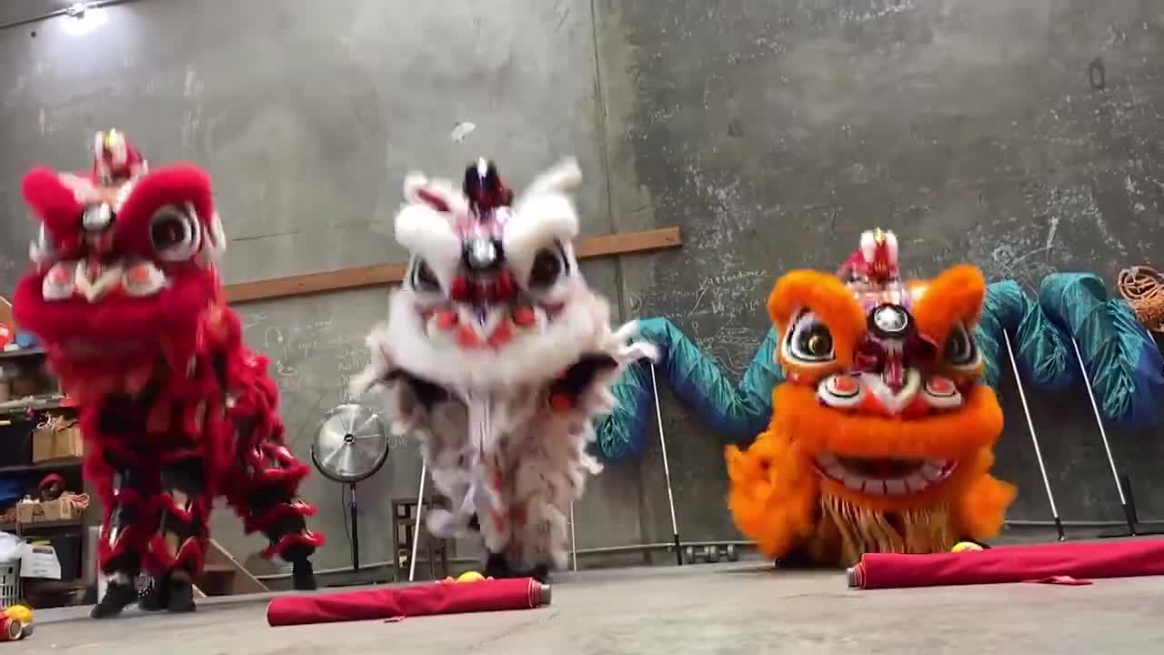 Erik Visser on LinkedIn: #hamletprotein #chinesenewyear Erik Visser on LinkedIn: #hamletprotein #chinesenewyear