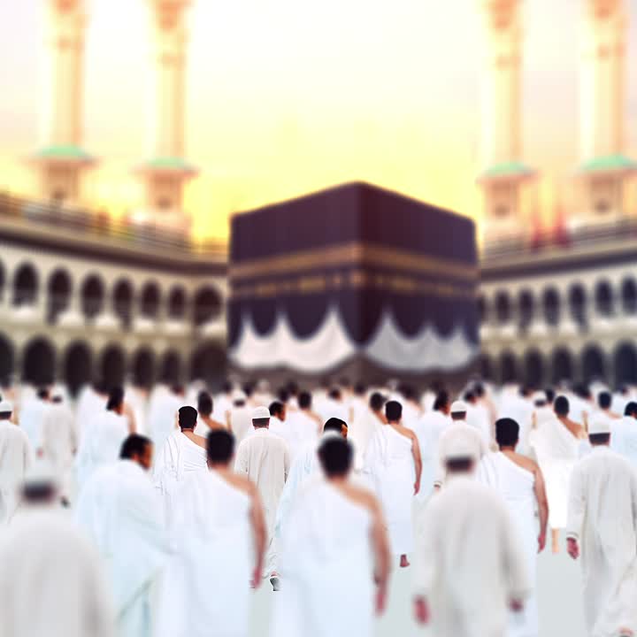 Amgad Allam on LinkedIn: Eid Adha Mubarak! Amgad Allam on LinkedIn: Eid Adha Mubarak!