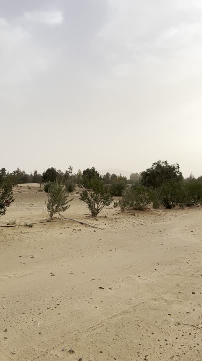 Essaghraoui Taoufiq posted on LinkedIn Essaghraoui Taoufiq posted on LinkedIn