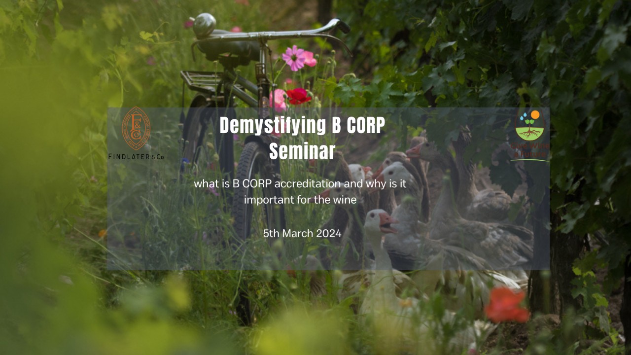 Demystifying B CORP | Findlater & Co Demystifying B CORP | Findlater & Co