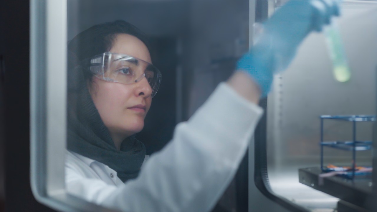 Neelofar Shaik on LinkedIn: Researchers develop way to make lifesaving ... Neelofar Shaik on LinkedIn: Researchers develop way to make lifesaving ...