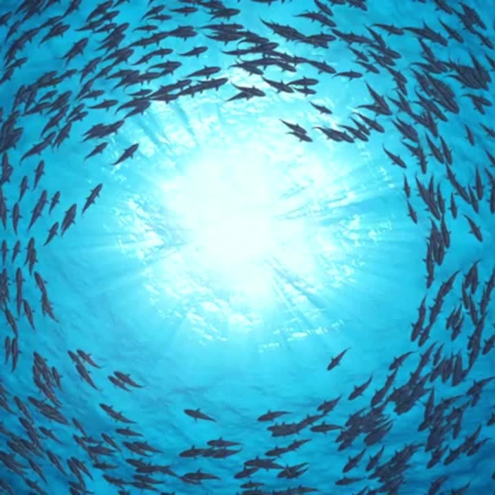Jayne Shawcross Chartered Marketer FCIM BSc Chem (Hons) on LinkedIn: I ... Jayne Shawcross Chartered Marketer FCIM BSc Chem (Hons) on LinkedIn: I ...