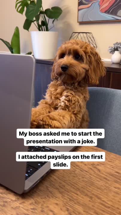 TALHA ALI on LinkedIn: 😂😂 TALHA ALI on LinkedIn: 😂😂