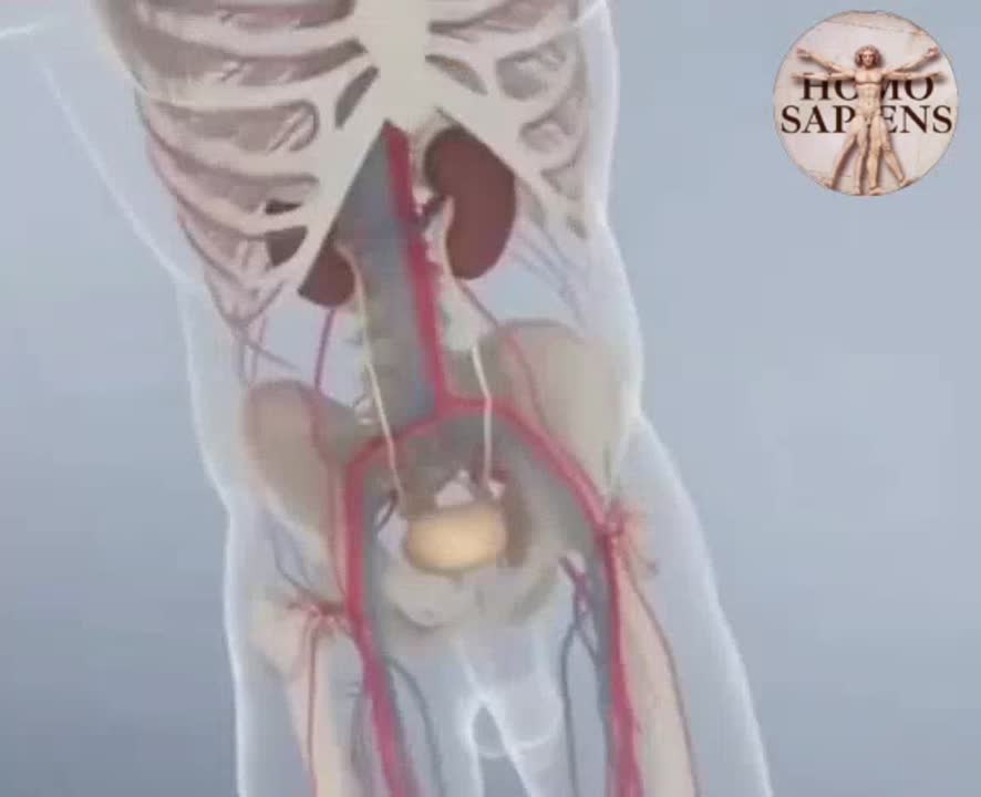 ScienceRise Medical Science posted on LinkedIn ScienceRise Medical Science posted on LinkedIn