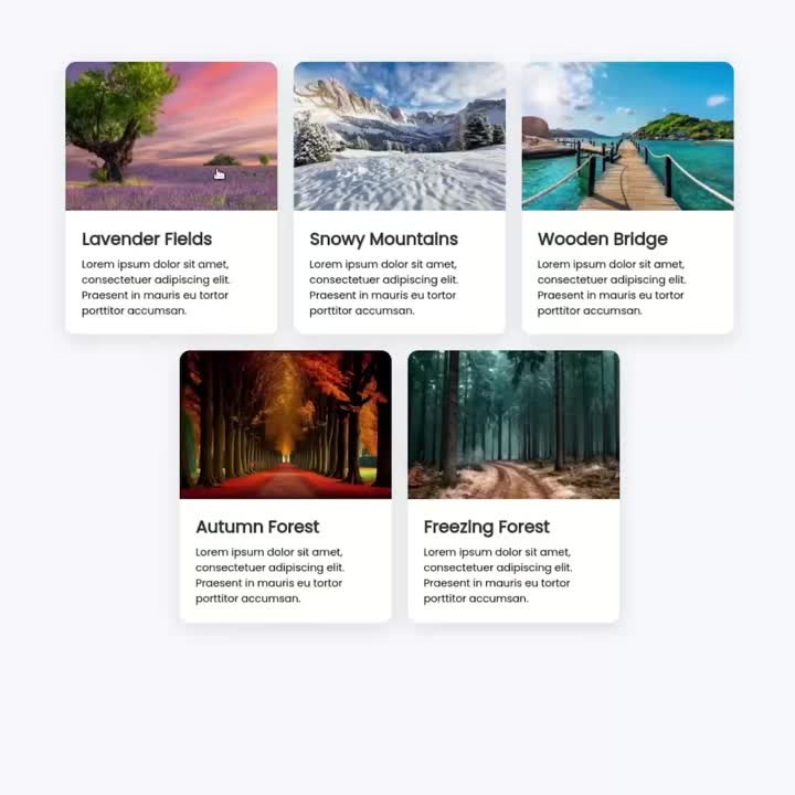 David Mráz on LinkedIn: Create responsive cards with zoom hover effect ... David Mráz on LinkedIn: Create responsive cards with zoom hover effect ...