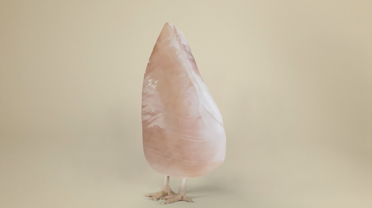 Charlotte Potman on LinkedIn: Swap the Chicken | The Vegetarian Butcher Charlotte Potman on LinkedIn: Swap the Chicken | The Vegetarian Butcher
