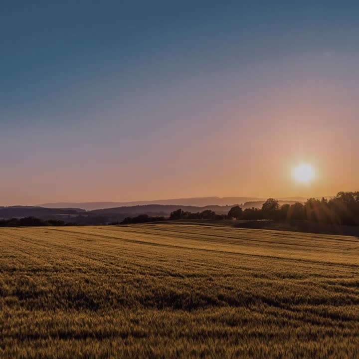 IBC SOLAR AG auf LinkedIn: Have sun! IBC SOLAR AG auf LinkedIn: Have sun!