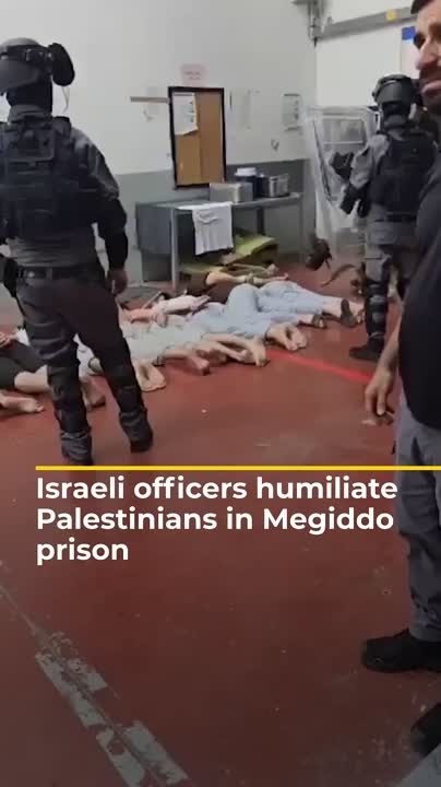 Mohammad Ali Shahabnia on LinkedIn: Why Arab World doesn't execute its ... Mohammad Ali Shahabnia on LinkedIn: Why Arab World doesn't execute its ...