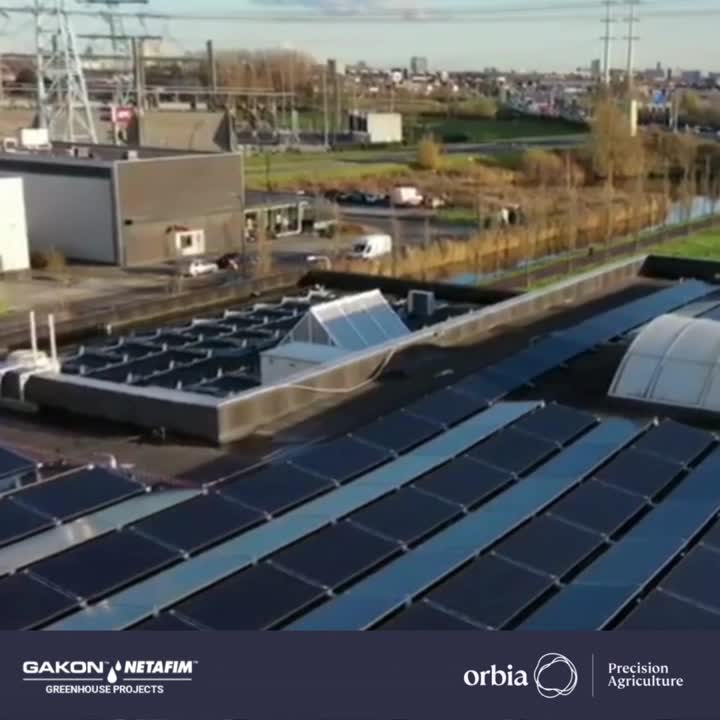 Gakon Netafim - Greenhouse projects on LinkedIn: Sustainable Greenhouse ... Gakon Netafim - Greenhouse projects on LinkedIn: Sustainable Greenhouse ...