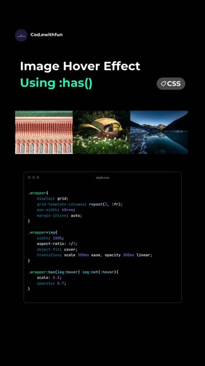How to create a hover effect with :has () method | Dorsa Asnavandi ... How to create a hover effect with :has () method | Dorsa Asnavandi ...
