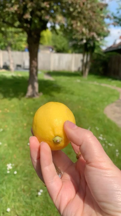 Rachel Kaye on LinkedIn: Sometimes life gives you lemons🍋🍋🍋 If I’m ... Rachel Kaye on LinkedIn: Sometimes life gives you lemons🍋🍋🍋 If I’m ...