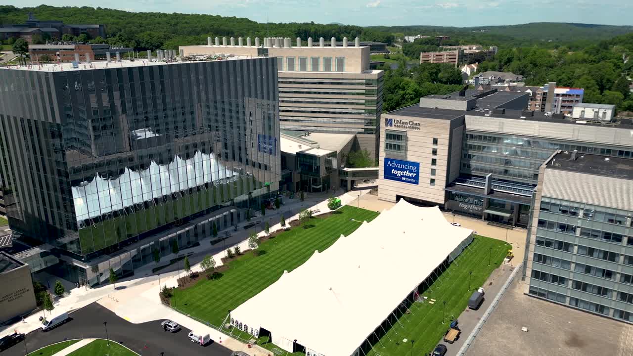 Paula Walsh DNP, APRN, GNP-BC on LinkedIn: Video: Watch special moments ... Paula Walsh DNP, APRN, GNP-BC on LinkedIn: Video: Watch special moments ...