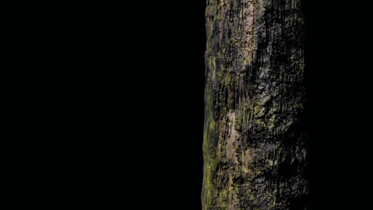 Aanchal Gupta on LinkedIn: #substancedesigner #3d #modelling #maya # ... Aanchal Gupta on LinkedIn: #substancedesigner #3d #modelling #maya # ...