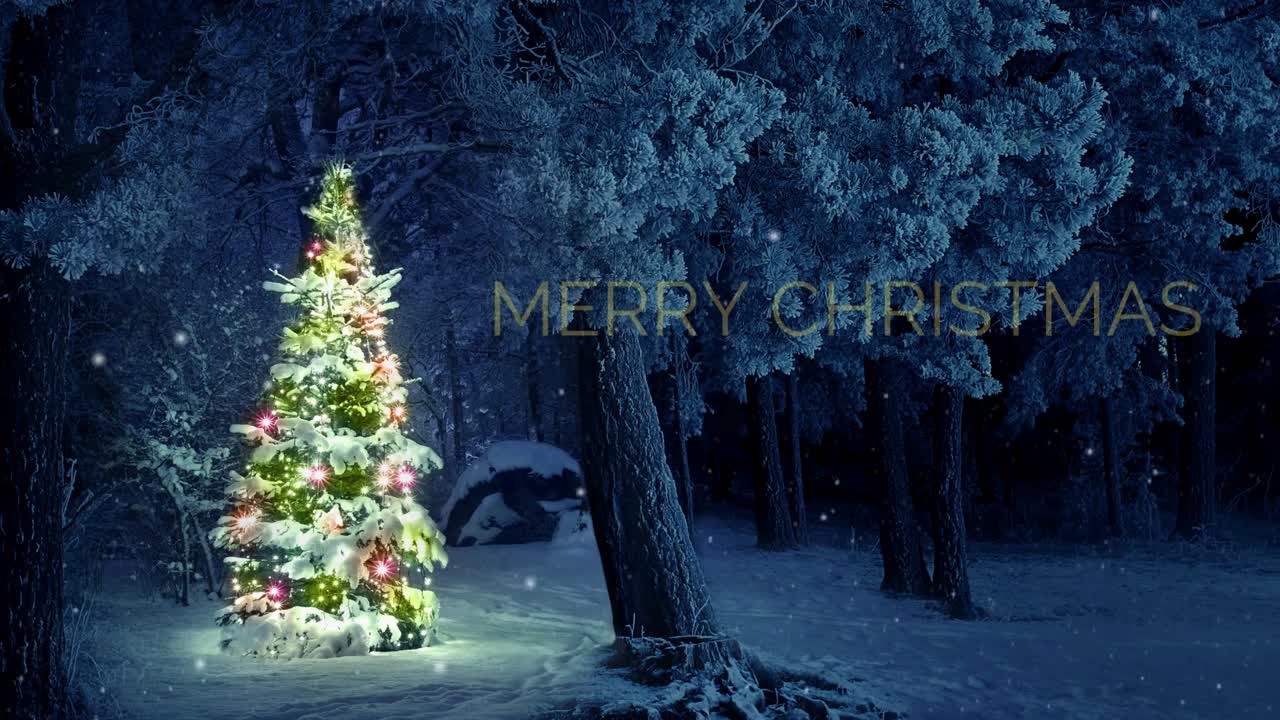 Mainline Information Systems on LinkedIn: #merrychristmas #christmas2023 Mainline Information Systems on LinkedIn: #merrychristmas #christmas2023