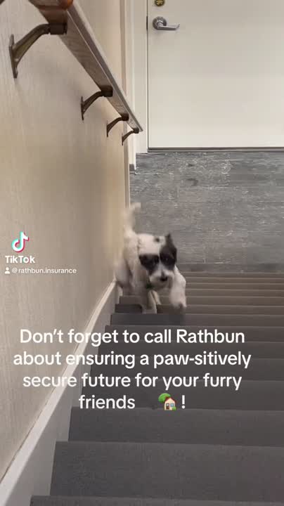 Rathbun Insurance on LinkedIn: Guardians of peace of mind: Call your ... Rathbun Insurance on LinkedIn: Guardians of peace of mind: Call your ...