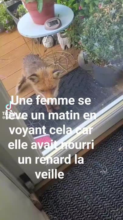 Nathalie Catiaux posted on LinkedIn Nathalie Catiaux posted on LinkedIn