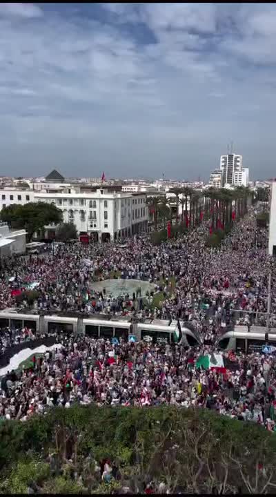 #gaza #palestine #freepalestine #عملية_طوفان_الأقصي #المغرب #غزة_الآن ... #gaza #palestine #freepalestine #عملية_طوفان_الأقصي #المغرب #غزة_الآن ...