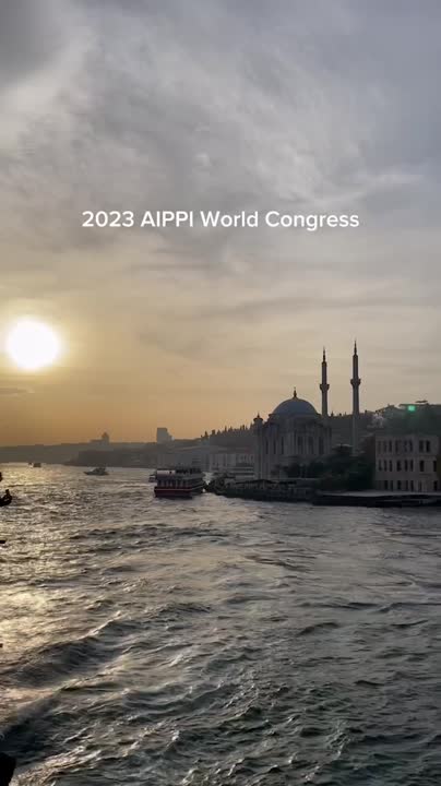 Shraddha Singh Chauhan on LinkedIn: #aippi Shraddha Singh Chauhan on LinkedIn: #aippi