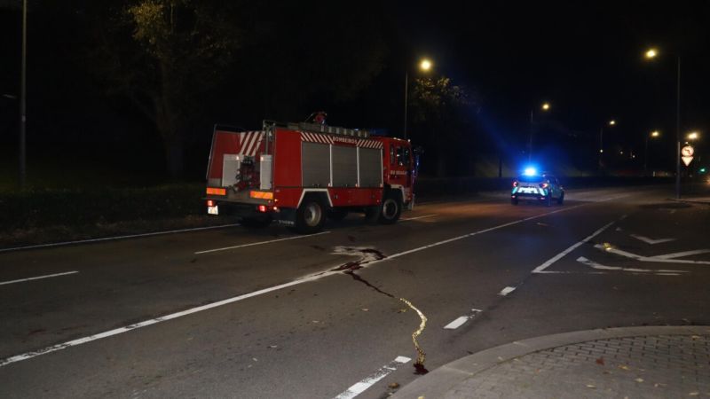BOM DIA on LinkedIn: Estudante búlgaro morre atropelado em Braga BOM DIA on LinkedIn: Estudante búlgaro morre atropelado em Braga