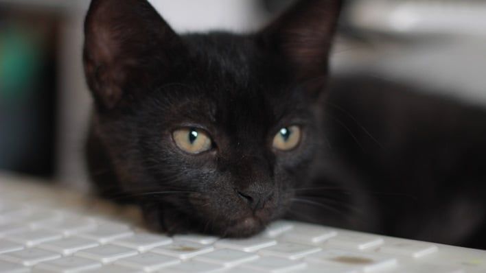 HotHardware, Inc. on LinkedIn: FBI Security Advisory Reveals Blackcat ... HotHardware, Inc. on LinkedIn: FBI Security Advisory Reveals Blackcat ...
