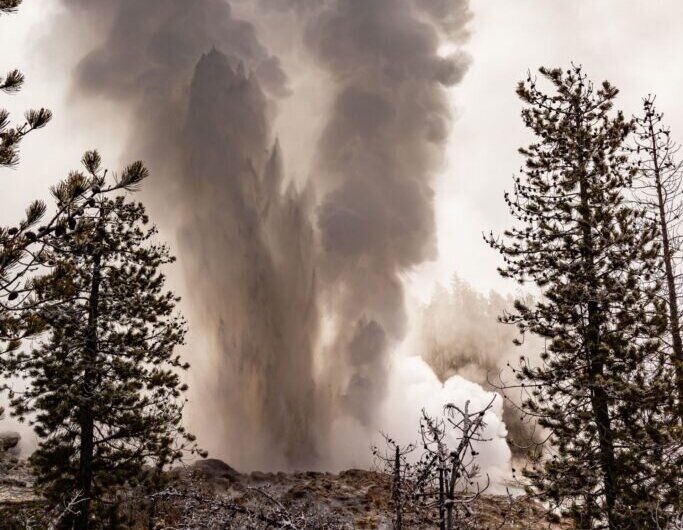 Phys.org on LinkedIn: Petrified trees reveal Yellowstone geyser's ... Phys.org on LinkedIn: Petrified trees reveal Yellowstone geyser's ...