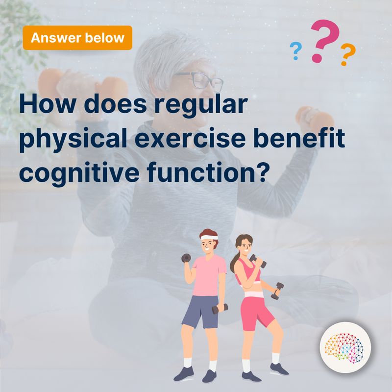 Brainacademy.com on LinkedIn: 🧘♀️ Regular physical exercise increases ... Brainacademy.com on LinkedIn: 🧘♀️ Regular physical exercise increases ...