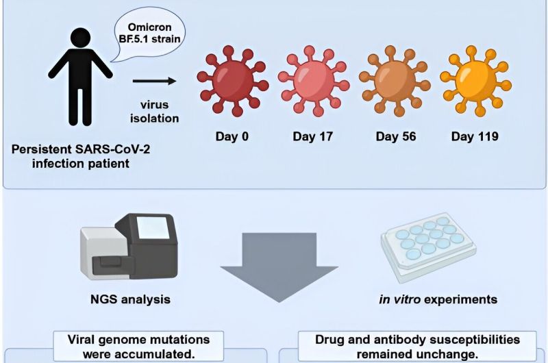 Phys.org on LinkedIn: Researchers predict real-world SARS-CoV-2 ... Phys.org on LinkedIn: Researchers predict real-world SARS-CoV-2 ...