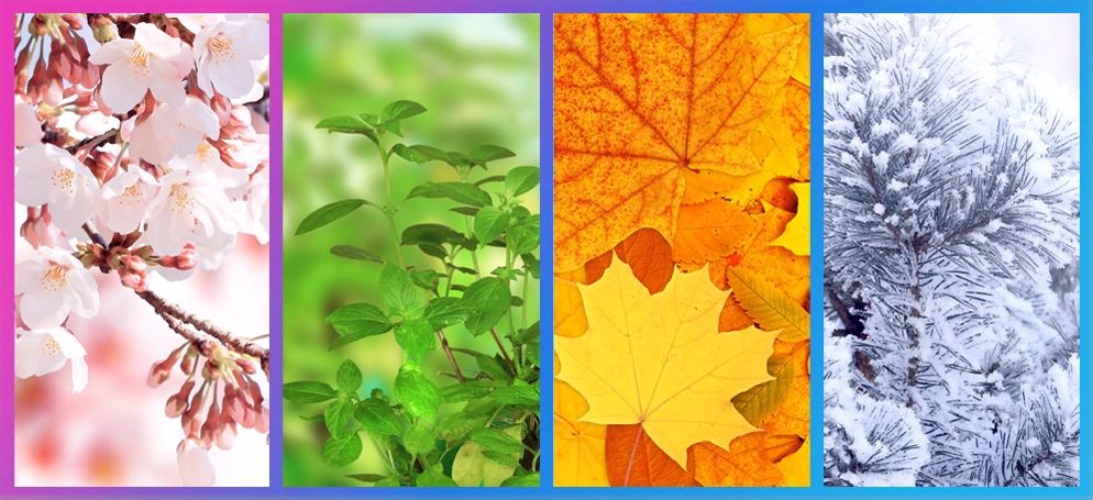 Oban International on LinkedIn: Mastering seasonality in SEO and paid ... Oban International on LinkedIn: Mastering seasonality in SEO and paid ...