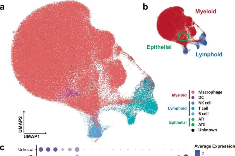 Recent research has provided new insights into the immune mechanisms in ... Recent research has provided new insights into the immune mechanisms in ...