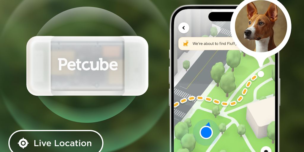 ☕️ 0xCAFE - Subscribe now 📨 on LinkedIn: Petcube GPS Tracker - Live ... ☕️ 0xCAFE - Subscribe now 📨 on LinkedIn: Petcube GPS Tracker - Live ...