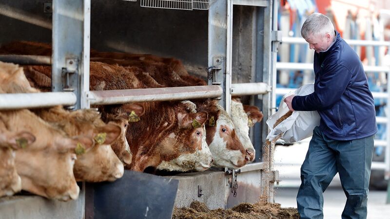 Laurie K. on LinkedIn: Elon Musk, farmers torch Ireland government ... Laurie K. on LinkedIn: Elon Musk, farmers torch Ireland government ...