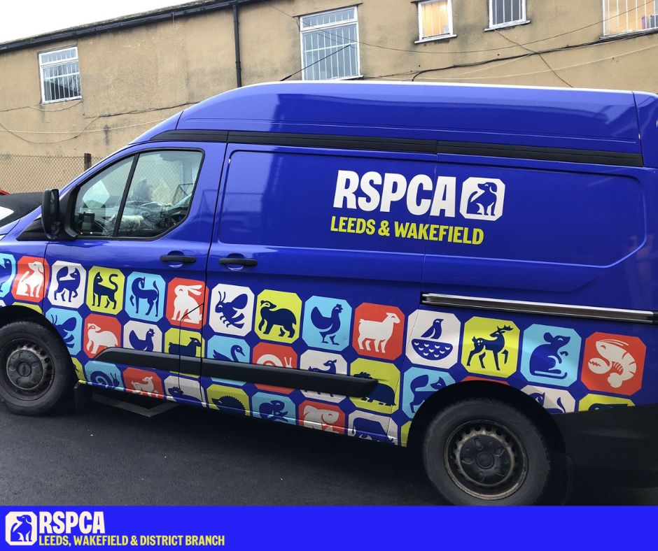 🚍Our branch van has had a makeover! How fabulous does it look with our ... 🚍Our branch van has had a makeover! How fabulous does it look with our ...