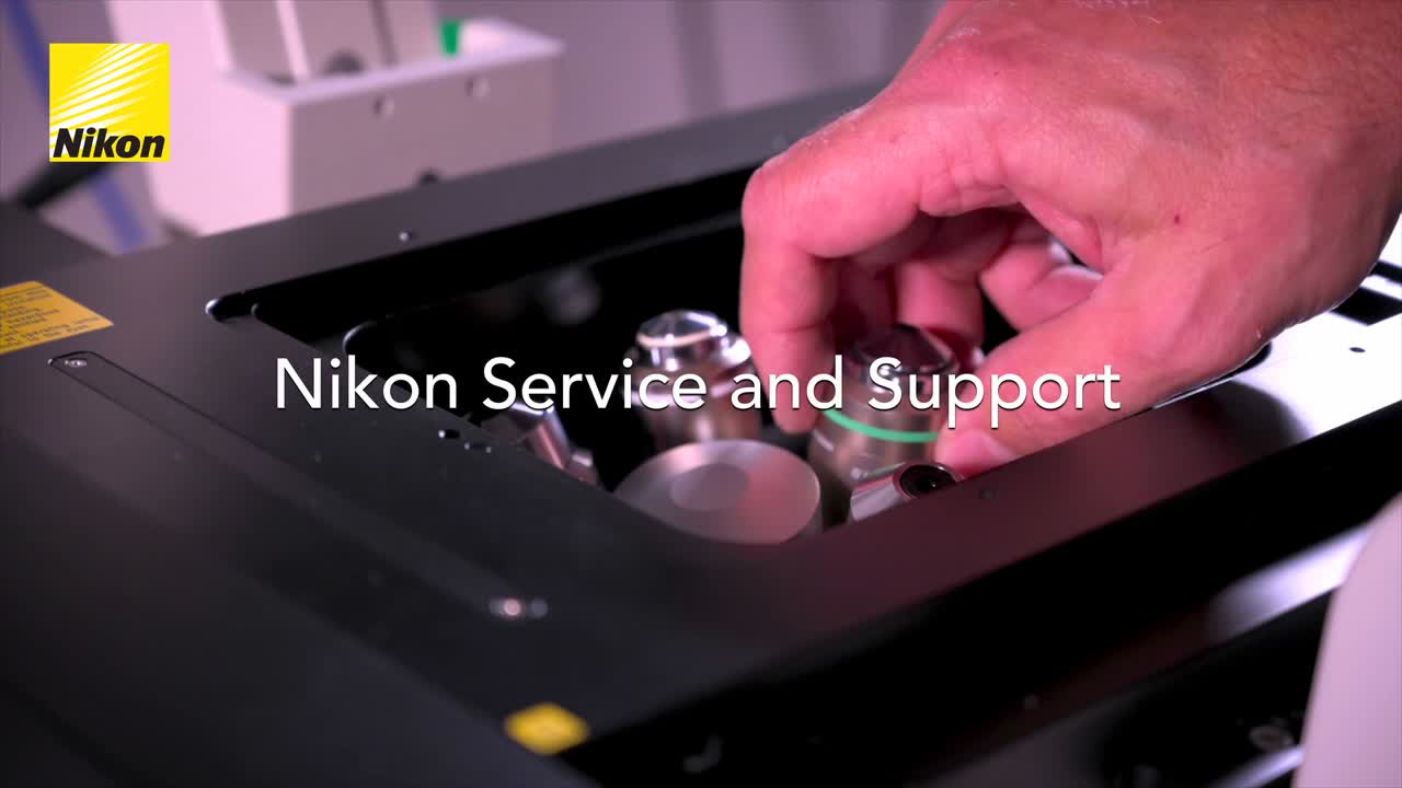 rohit kumar singh on LinkedIn: Nikon Service & Support (US/Canada) rohit kumar singh on LinkedIn: Nikon Service & Support (US/Canada)