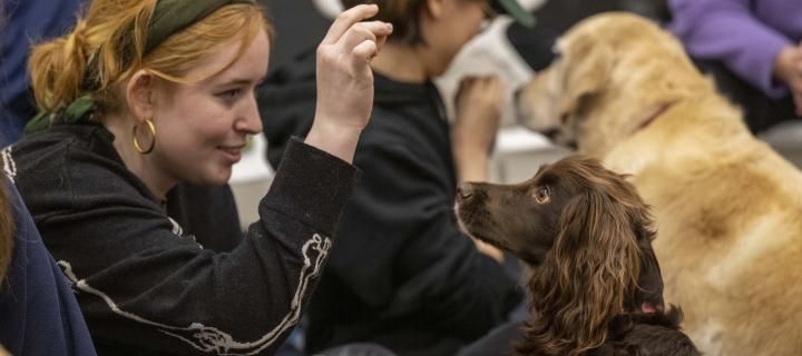Kasia Raszewska on LinkedIn: New pet programme brings paw-sitive ... Kasia Raszewska on LinkedIn: New pet programme brings paw-sitive ...