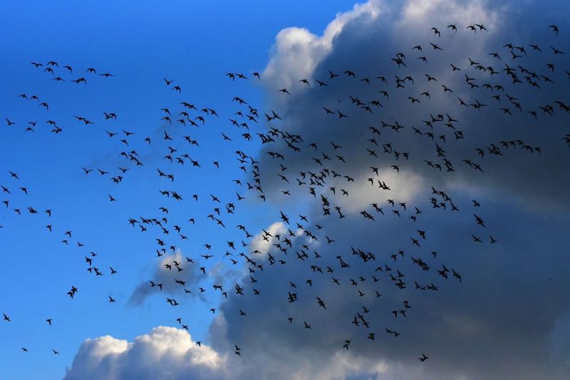 kiktronik Limited on LinkedIn: How to Migrate Applications from On ... kiktronik Limited on LinkedIn: How to Migrate Applications from On ...