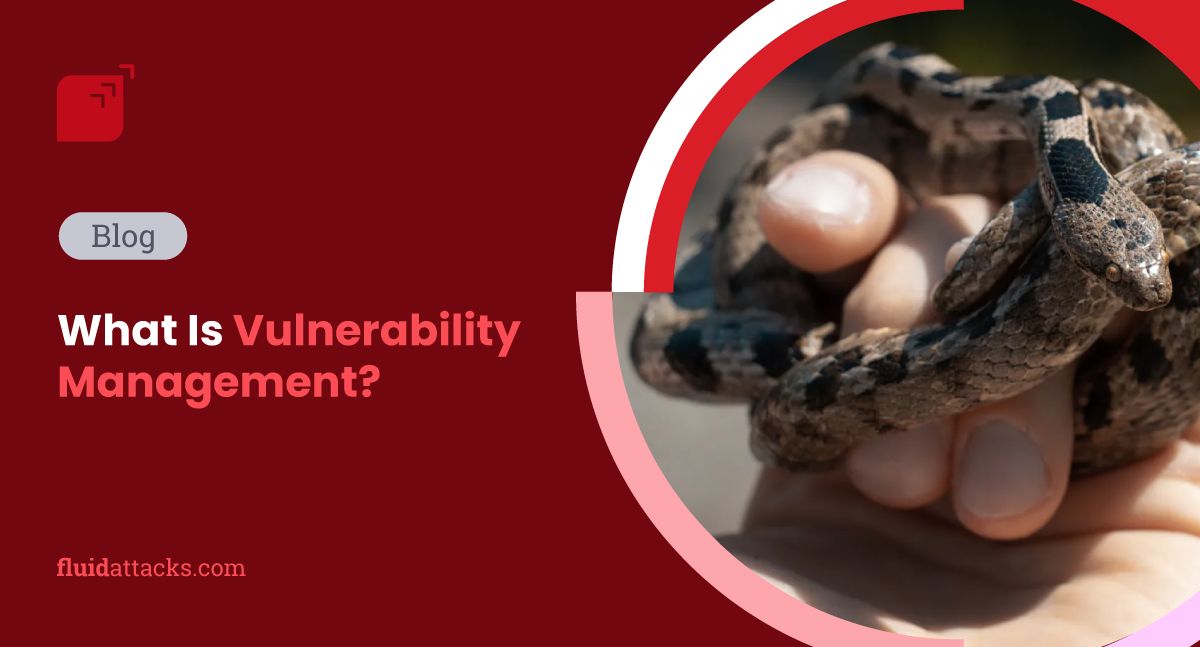 Fluid Attacks on LinkedIn: Definition of the vulnerability management ... Fluid Attacks on LinkedIn: Definition of the vulnerability management ...