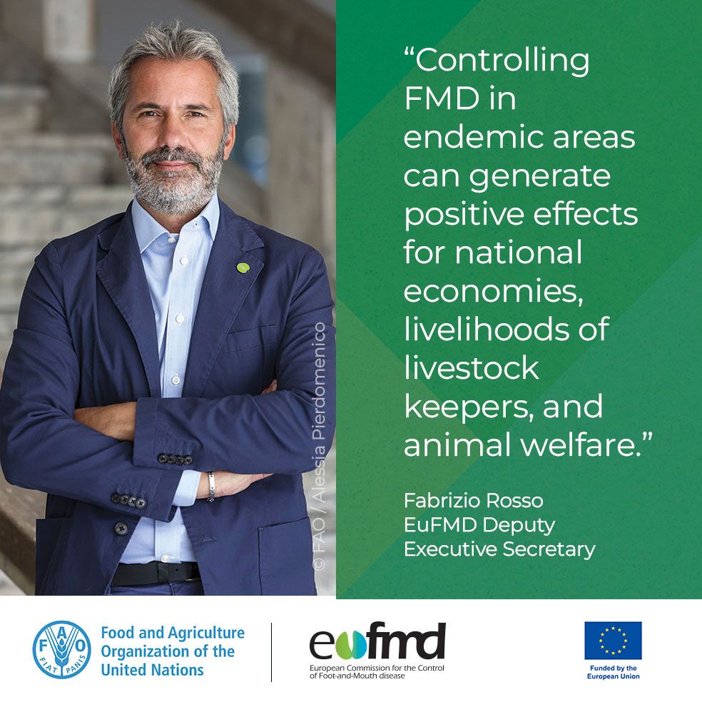 EuFMD on LinkedIn: #fmd EuFMD on LinkedIn: #fmd