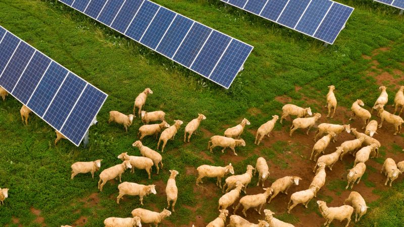CleanEarth on LinkedIn: Solar Energy UK responds to land use framework ... CleanEarth on LinkedIn: Solar Energy UK responds to land use framework ...