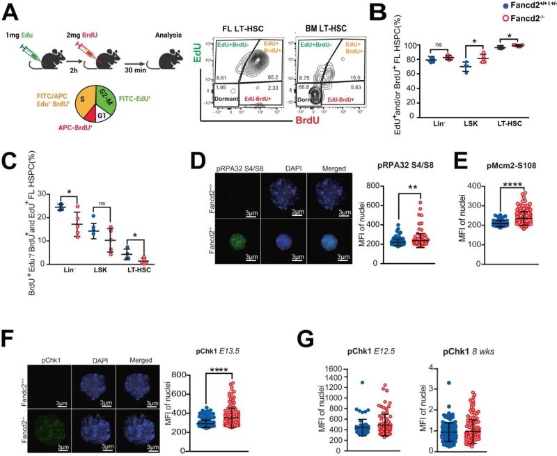 Phys.org on LinkedIn: Researchers determine underlying mechanisms of ... Phys.org on LinkedIn: Researchers determine underlying mechanisms of ...