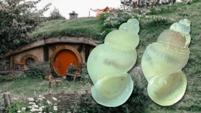 VTB |『V』𝚃『B』Casts┋ on LinkedIn: Scientists Discover Two New Cave ... VTB |『V』𝚃『B』Casts┋ on LinkedIn: Scientists Discover Two New Cave ...