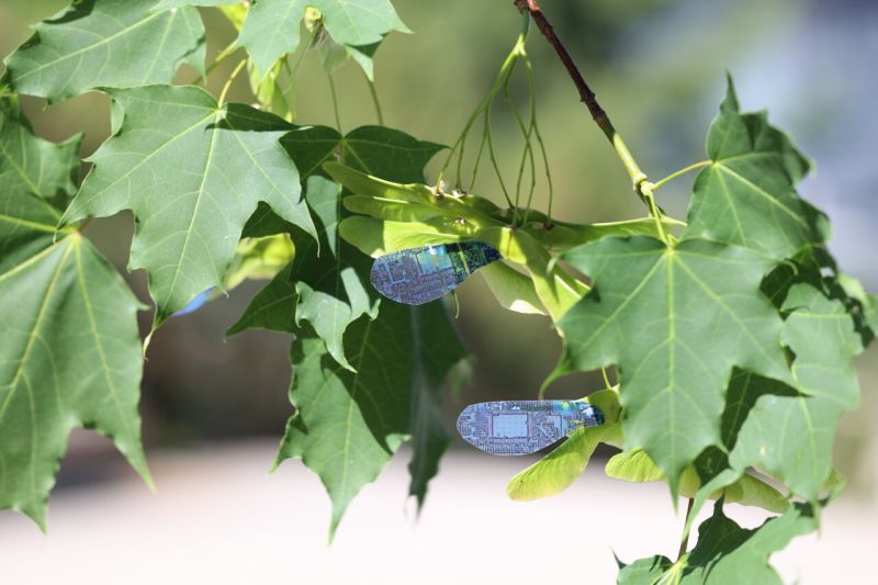 Tech Xplore on LinkedIn: Light-controlled artificial maple seeds could ... Tech Xplore on LinkedIn: Light-controlled artificial maple seeds could ...
