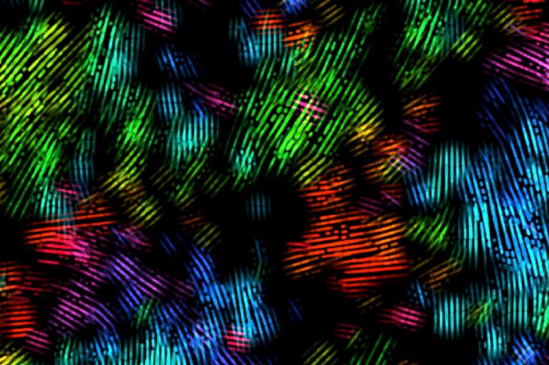 Tech Xplore on LinkedIn: Researchers illuminate inner workings of new ... Tech Xplore on LinkedIn: Researchers illuminate inner workings of new ...